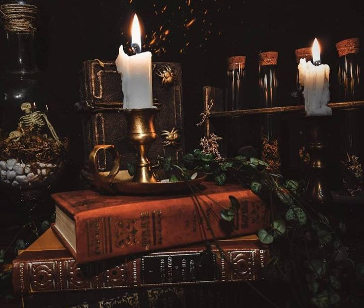 The Crow, The Coven & The Cryptid